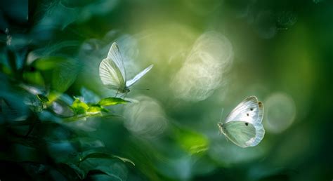 5 Myths About Sex After Menopause Vella