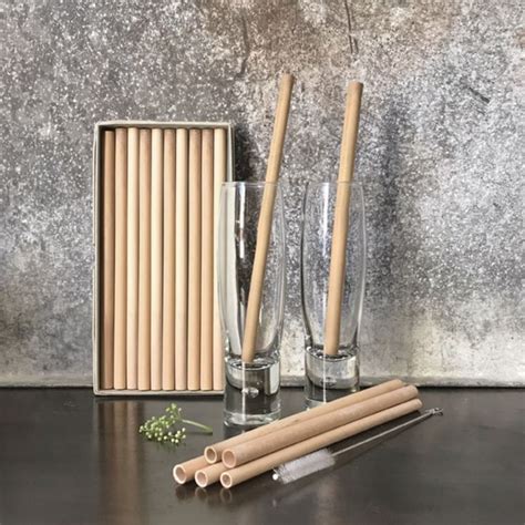10 Reusable Bamboo Straws With Cleaning Brush Biodegradable Products
