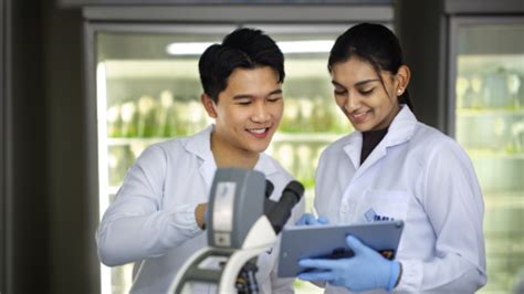 Foundation In Science A Direct Route Into IMU S Programmes