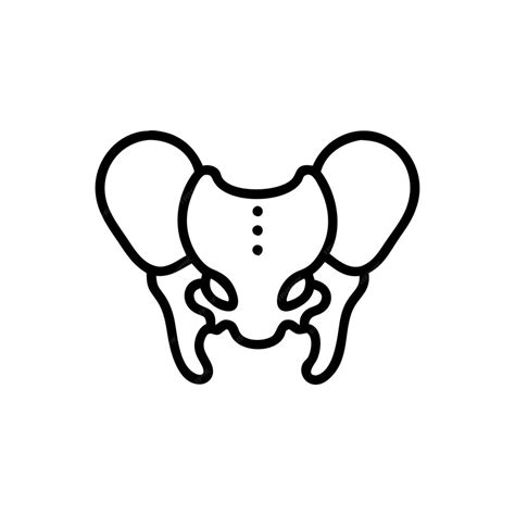 Premium Vector Illustration Of Anatomy Part In Medical Science