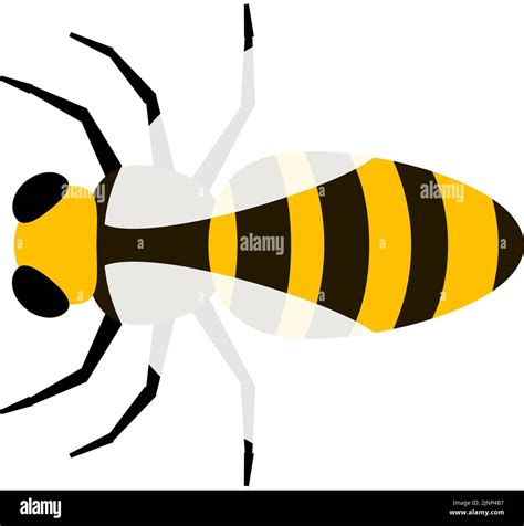 Clip Art Of Simple Honey Stock Vector Image And Art Alamy