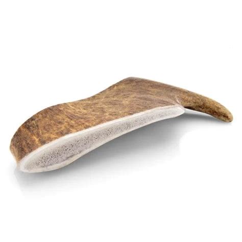 Bois De Daim Pour Chien