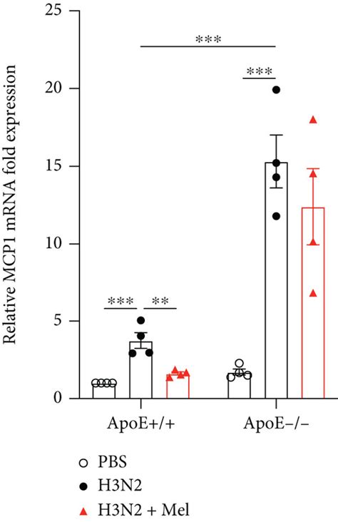 The Blocking Of The Apoe Ldlr Pathway Suppressed The Regulation Of Download Scientific Diagram