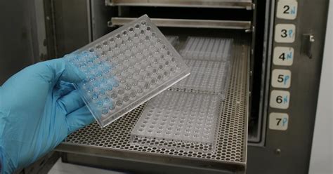 Plasma Surface Modification What Is It And Why Does It Matter