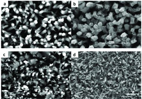 Sem Micrographs Of Zno Nanostructures With The Precursors A Znch 3