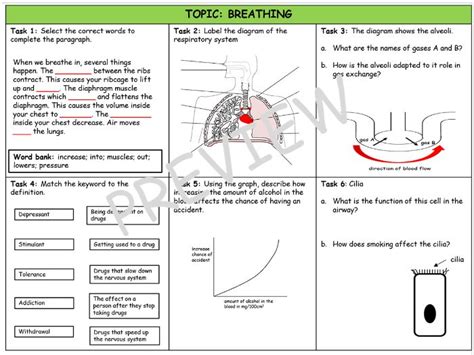 Breathing Assessment Teaching Resources