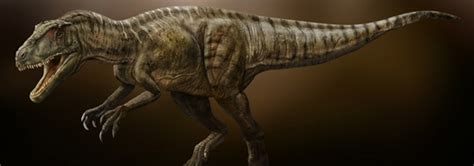 May Everything Dinosaur Blog