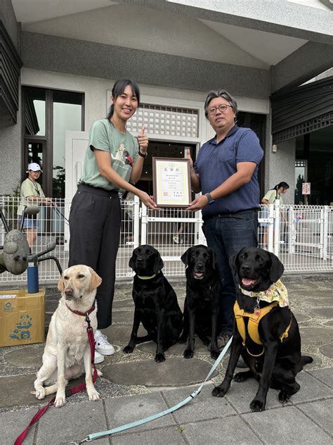 惠光導盲犬學校 導盲犬夏日泳池派對來啦！