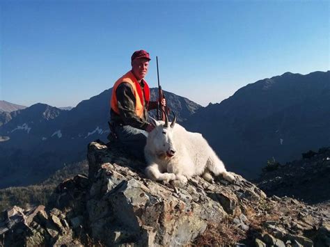 Montana Must Apply State For Moose Sheep And Goat Worldwide Trophy