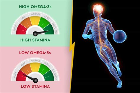 Benefits Of Omega 3s For Athletes Dha For Optimal Performance And