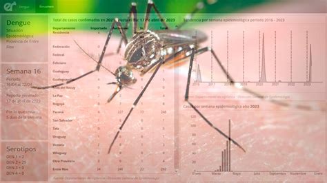 Hay 292 casos de dengue revelan el horario de mayor circulación del