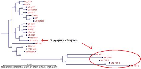 Questions With Answers In HORIZONTAL GENE TRANSFER Science Topic
