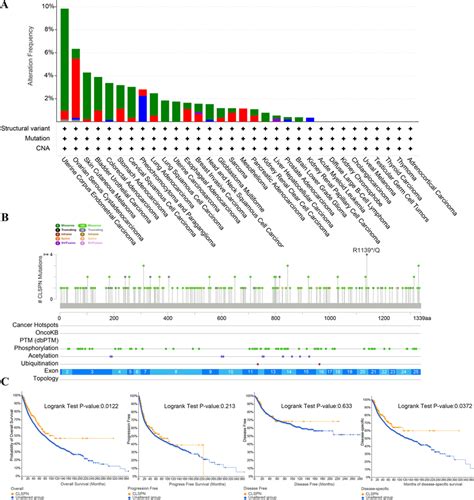 Mutation Feature Of Clspn In Tcga Tumors Obtained From The Cbioportal