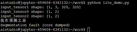预测n出现段错误segmentation Fault Core Dumped · Issue 9258