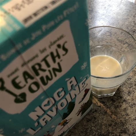 Earth S Own Oat Nog Reviews Abillion