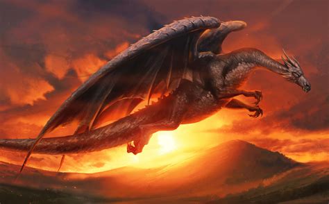 Dragon Wiki Harry Potter Fandom