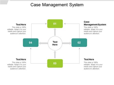 Case Management System Ppt PowerPoint Presentation Ideas Visuals Cpb