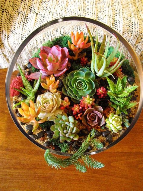 Мини-сад за стеклом: делаем флорариум своими руками | Succulent ...