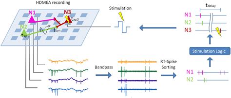 frontiers high density microelectrode array recordings and real time