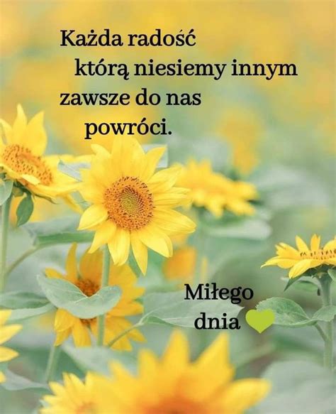 Yellow Sunflowers With Inspirational Quote Daily Motivation In Polish