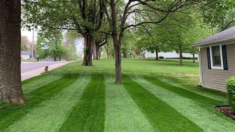 Best Grass Seed For Kansas City And Omaha Grass Pad