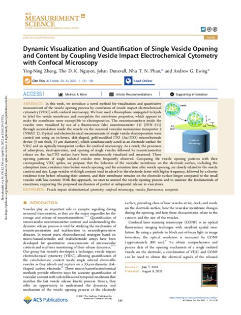 pdf dynamic visualization and quantification of single vesicle