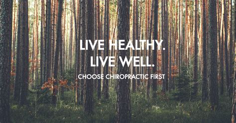 Chiropractor Auckland Chiropractic First Chiropractic Care Mt Eden