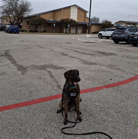 K9training Expansion Firearmdetection Victor Borras