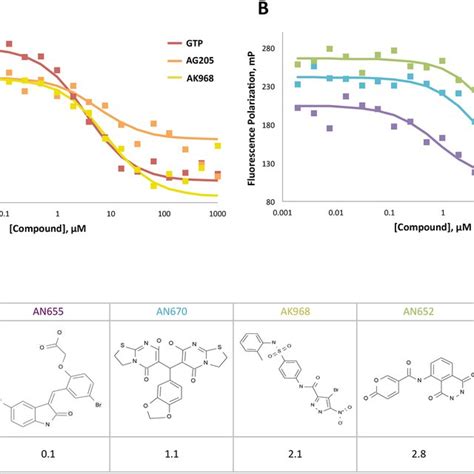 Fluorescence Polarization Assay Development And Validation A Chemical