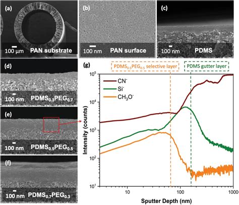 Characterizations Of The Pdms‐peg Hollow Fiber Membranes Scanning Download Scientific Diagram