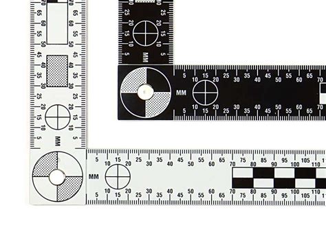 Printable Forensic Ruler