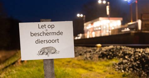 Prorail Mag Dassen Bij Fries Station Verhuizen Kleppen Voor Gangen Van