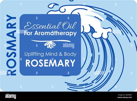 Rosemary Essential Oil For Aromatherapy Vector Stock Vector Image And Art