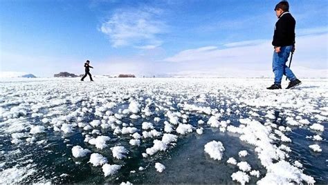 46 bin yıl sonra hayata döndürüldü Bilim dünyası şokta Karamandan