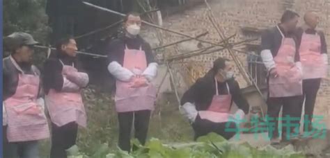 抖音川渝男人穿搭是什么梗 川渝男人穿搭梗的意思介绍 牛特市场
