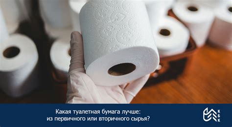 Сырье для производства туалетной бумаги: первичное, вторичное ...
