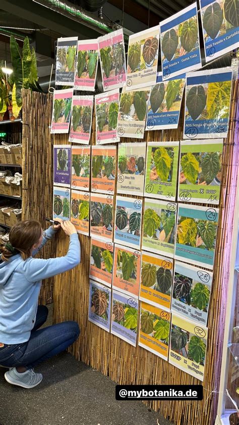 Just A Little Rant Rrarehouseplants