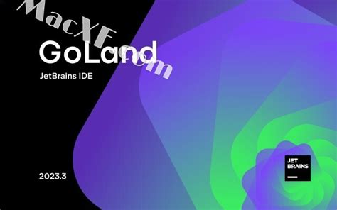 Goland 2023破解版 Jetbrains Goland 2023 软件先锋