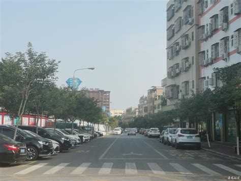 提升乡韵 记住乡愁 番禺区沙头街大罗村致力打造特色精品村