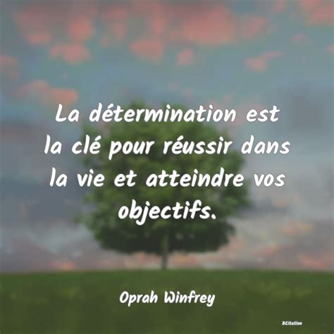 Citations Determination Bcitation