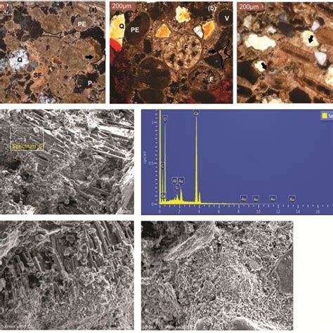 A Photomicrographs Of The Miliolite Thin Sections Of Khr Showing A Download Scientific