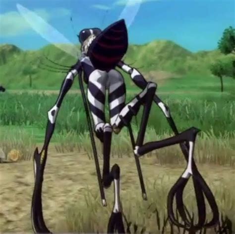 Mosquito Girl Butt And Legs Shots 4 By Sergaztheshygoblin On Deviantart