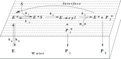 Scheme 3 Example Of A Typical Two Dimensional Four Step Reaction