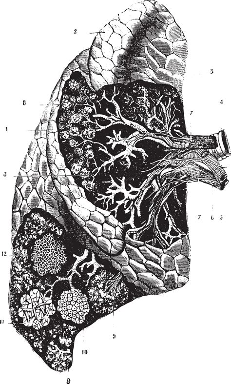 External Confirmation Internal Organization And Structure Of Th 35388060 Vector Art At Vecteezy