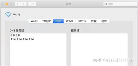 Vim Plug 代码补全插件 无法 Git下载，手动安装步骤 知乎