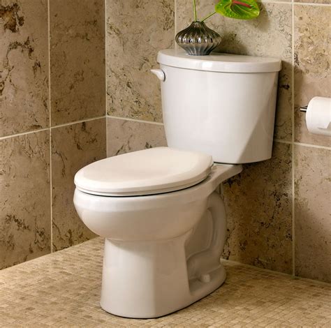 Toilet Seat On Amazon At Salvador Earley Blog