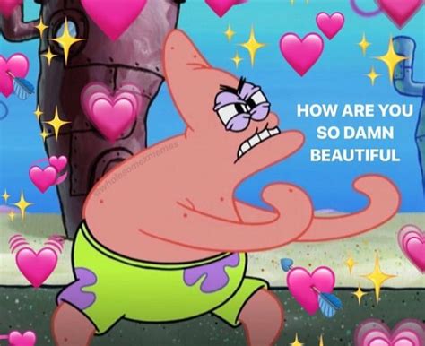 Y U So Beautiful Meme