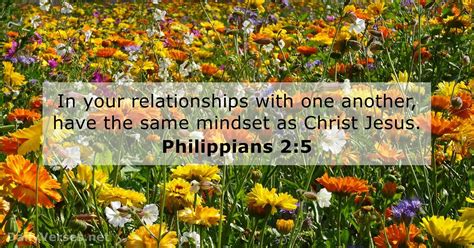 Philippians Bible Verse DailyVerses Net