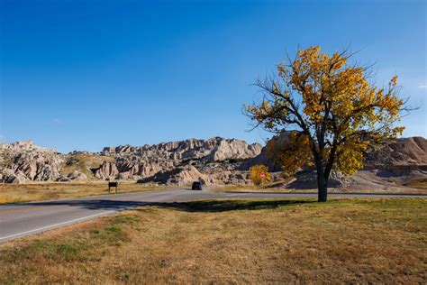 Levi Olson The Independent Photographer