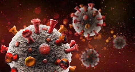 文献解读丨2019 2020年地坛医院hiv 1感染者治疗前耐药及影响因素 知乎